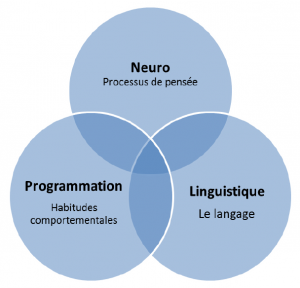 Définition de la PNL en une image