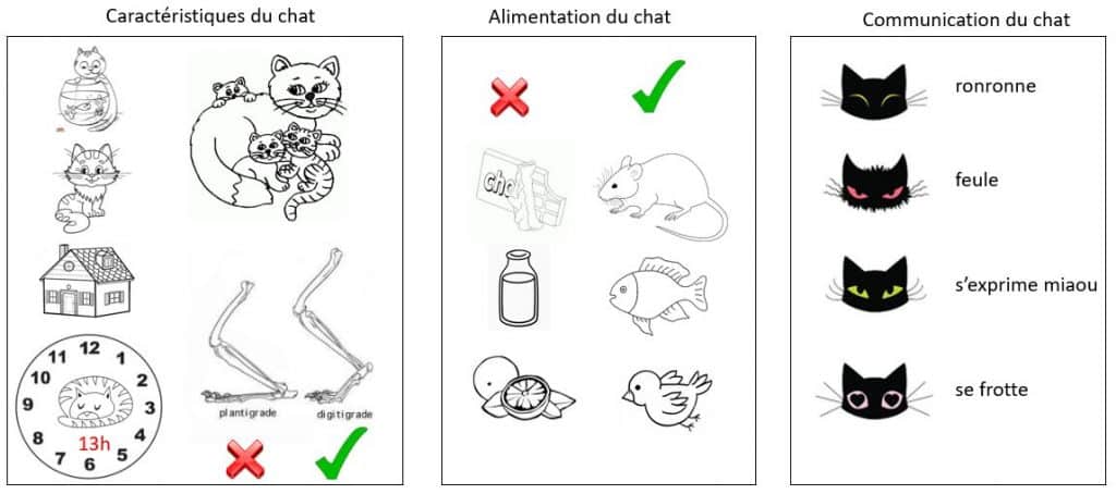 Atelier 3 les soft skills en CE2 - apprendre et mémoriser